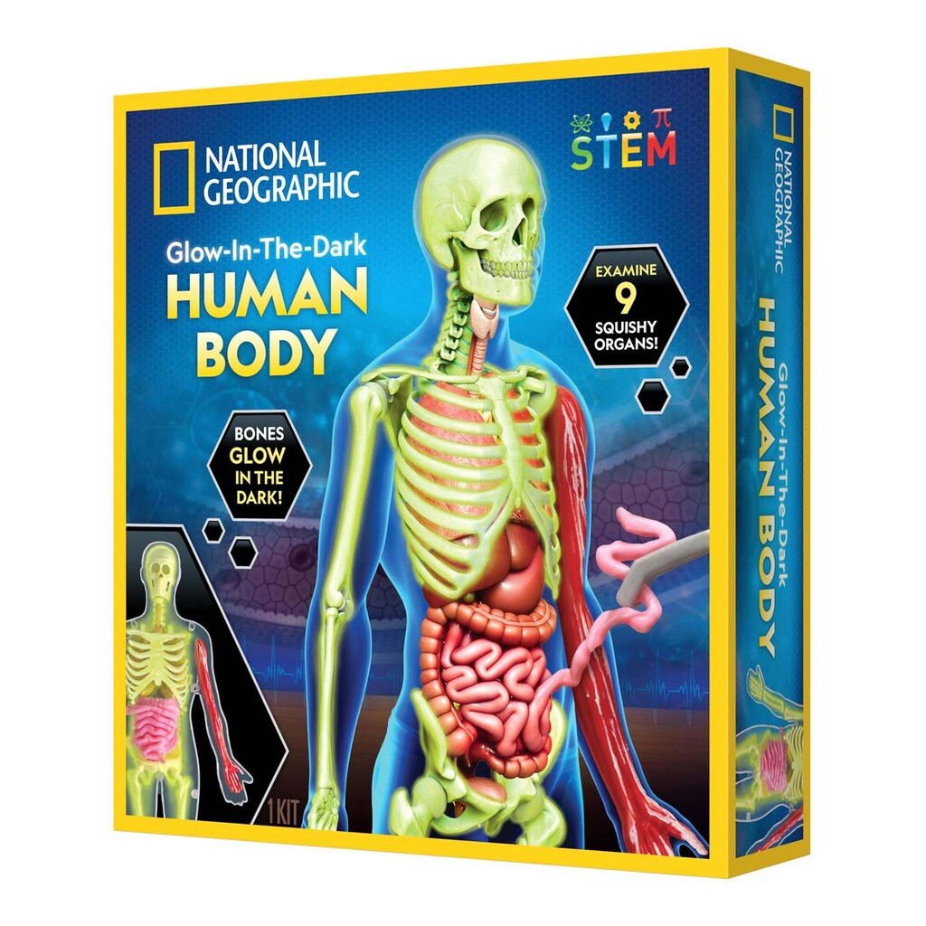 National Geographic, Human Body Science Kit - Hjem - Lekia.no